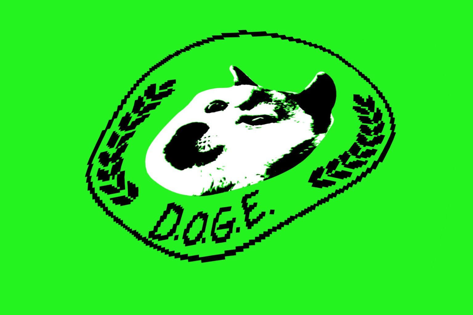 Doge Might Be Storing Every American S - DOGE Might Be Stori