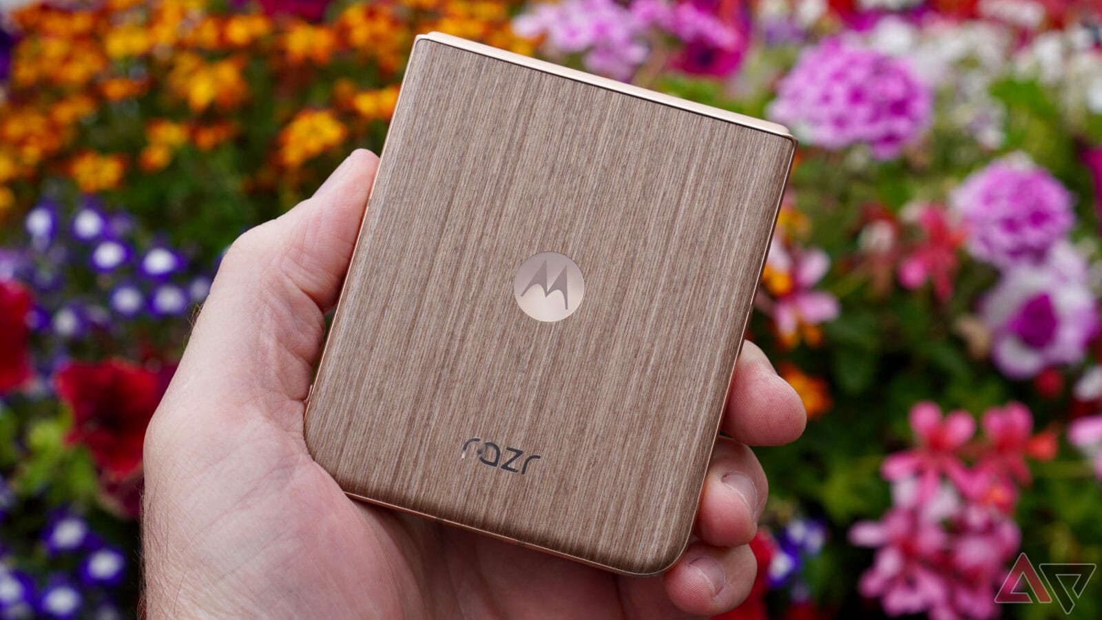 6 Camera Tricks I Use To Get Better Photos With The Moto Raz