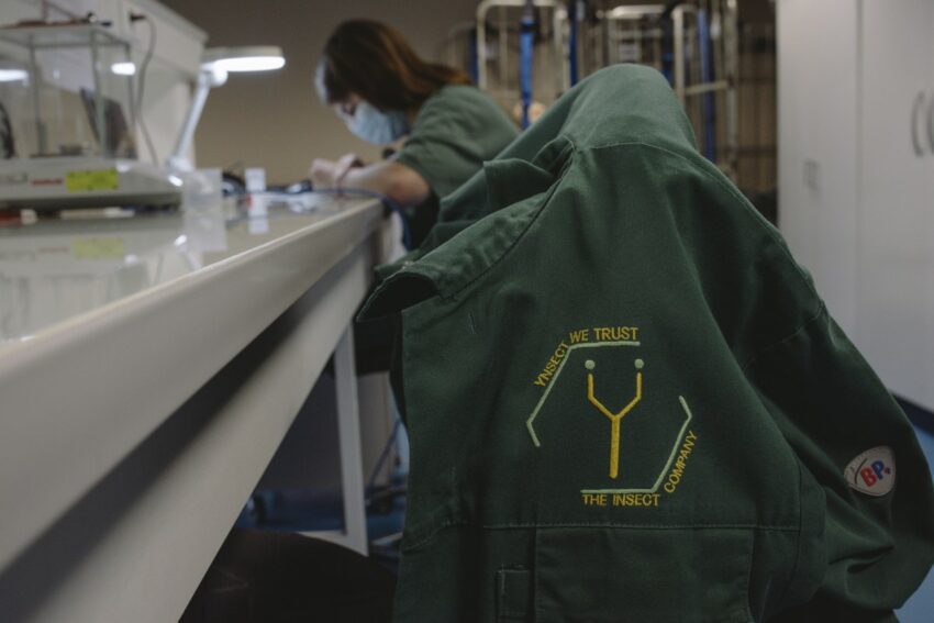 How Reality Crushed Nsect The French Startup - How Reality C