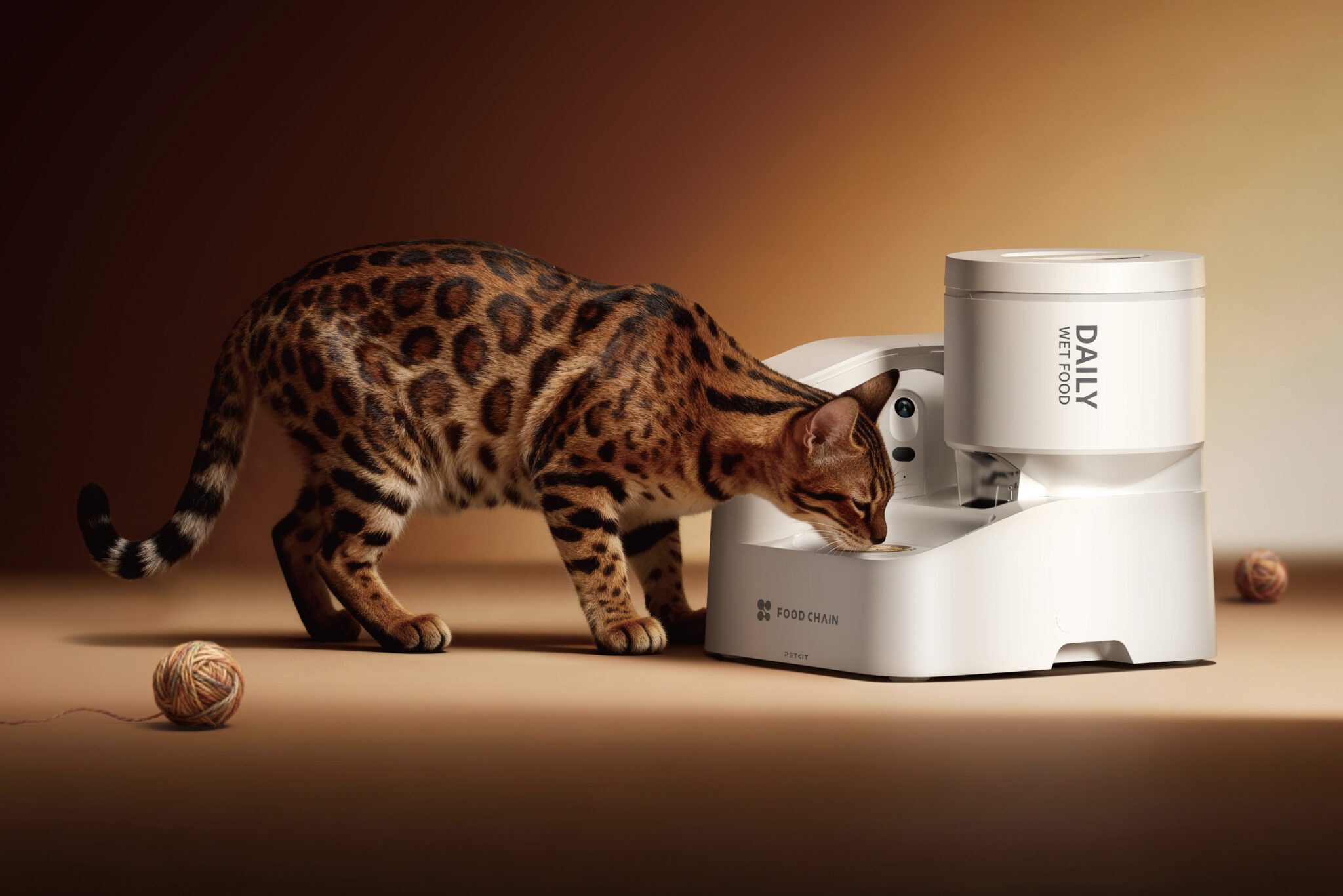 Petkit S First Automatic Wet Food Feeder - Petkit’s First Au